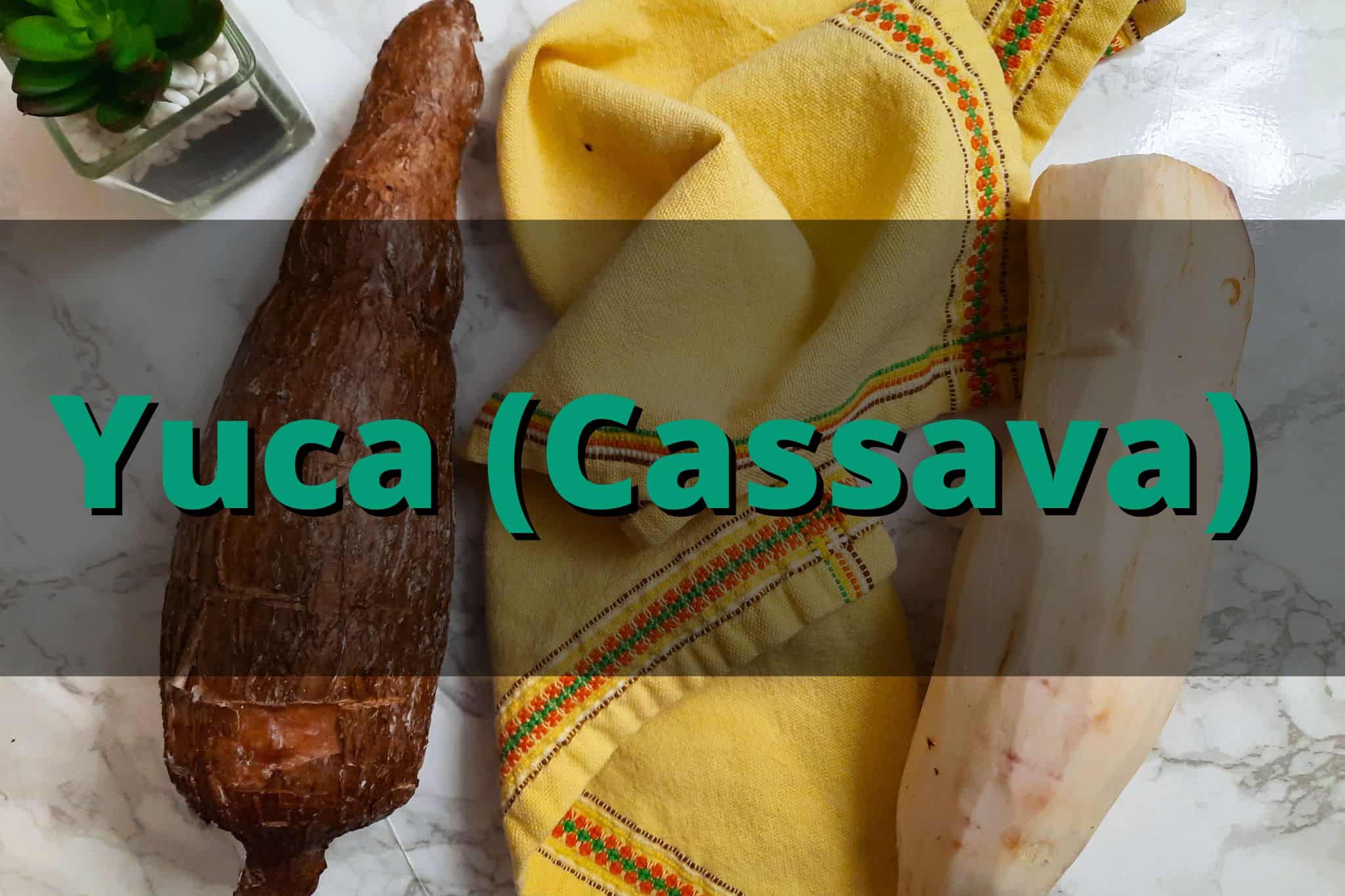Ingredient Profile: Yuca (Cassava) - The Stovetop Diplomat